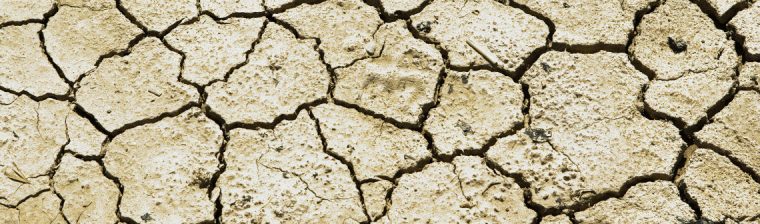 Une aridité renforcée transformera les paysages | Techniques de l'Ingénieur