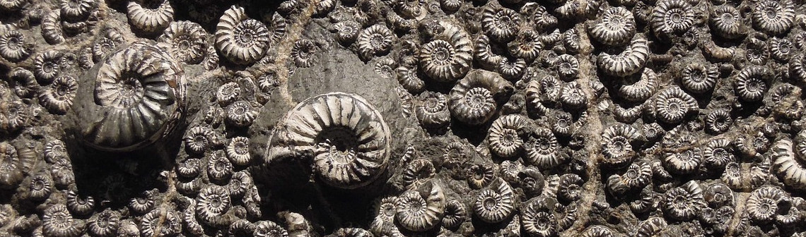 La tomographie ptychographique, outil d'observation inédit des ...