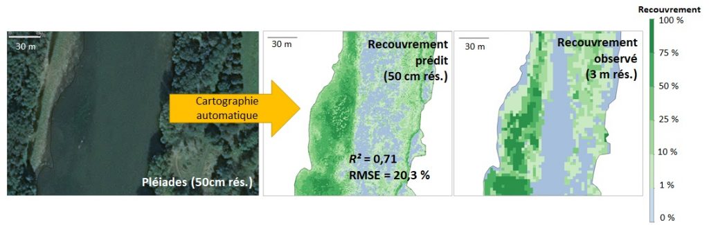 Cartographier les plantes aquatiques grâce à des images satellites et ...