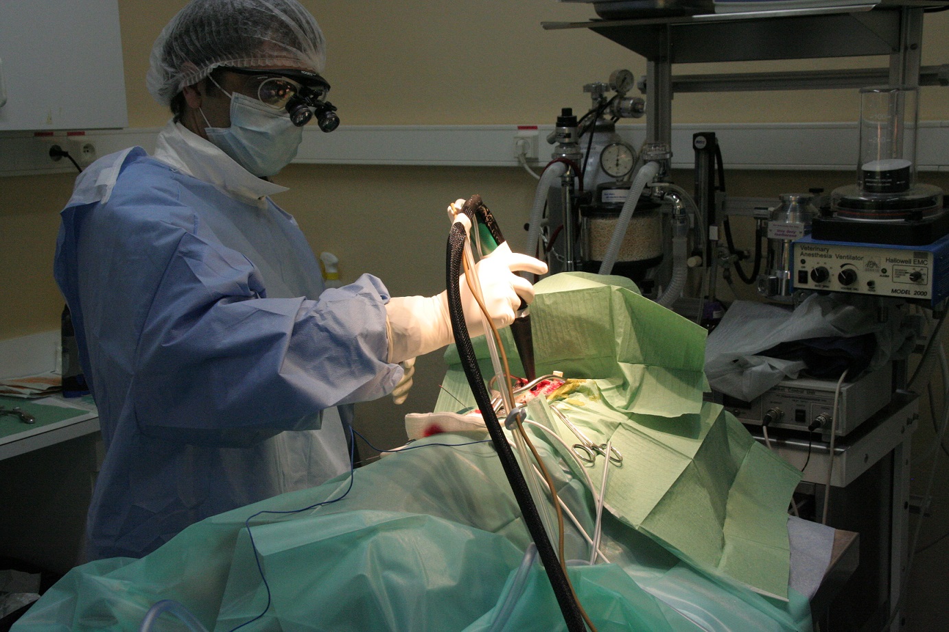 Beams : Un nouvel outil pour détecter en temps réel les tissus tumoraux ...