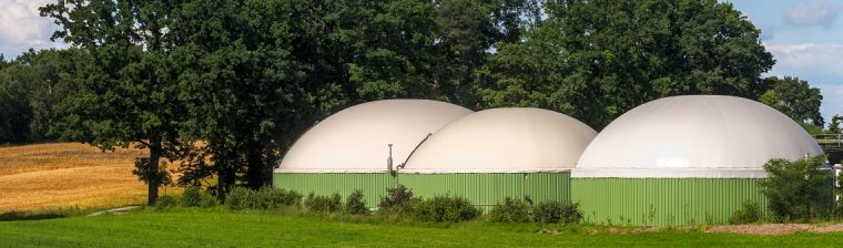Biogaz : passage attendu de la cogénération à l’injection | Techniques ...