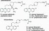 Chimie médicinale - Structure et activité du médicament : Dossier ...