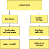 Laitiers de haut-fourneau - Origine, production et caractéristiques ...