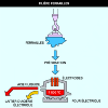 Laitiers de haut-fourneau - Origine, production et caractéristiques ...