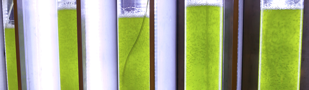 SimaPro : logiciel d'analyse de cycle de vie : Réalisation d'une ACV ...