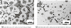 Fontes à graphite sphéroïdal : Fontes à matrice particulière ...