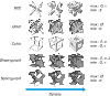 Optimisation topologique - Design organique pour la fabrication ...