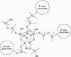 Procédé sol-gel de polymérisation : Dossier complet | Techniques de l ...